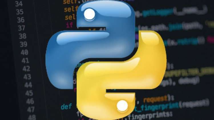 Udemy付费课程下载 Python Course Learn Oop By Doing A Game Project 口袋资源网