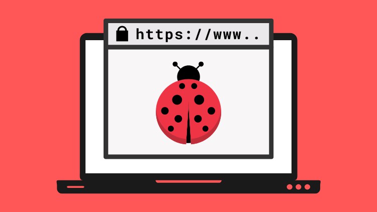 Udemy课程下载 Learn Bug Bounty Hunting And Web Security Testing From Scratch